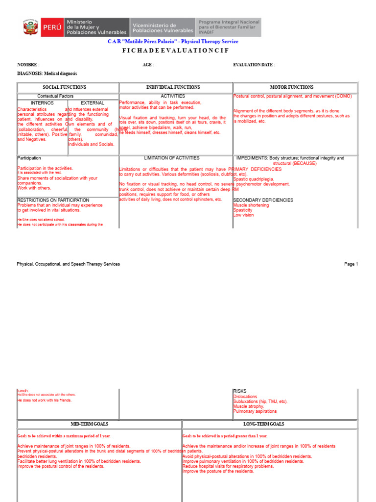 NDT CIF Model Sheet | PDF | Physical Therapy | Medical Specialties