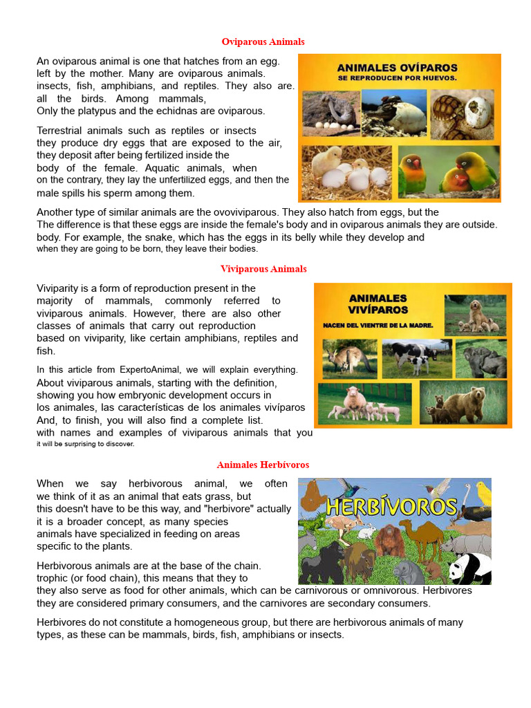 Oviparous Animals, Viviparous, Herbivorous, Omnivorous, Vertebrates and ...