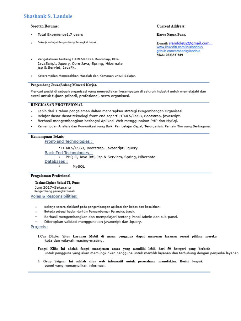 CV Pengembang JAVA | PDF