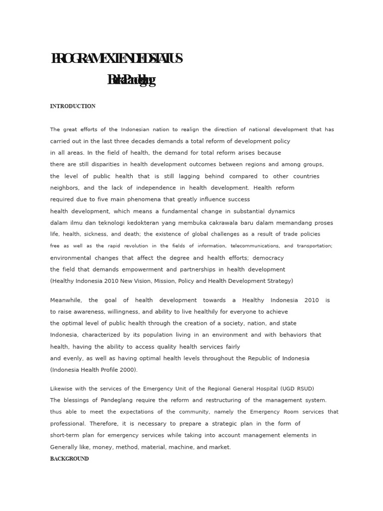 Short-Term Program of The Berkah Hospital Emergency Department | PDF ...
