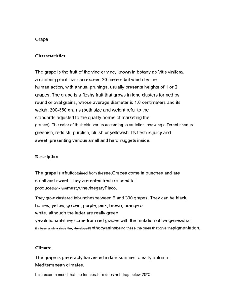 Grape Exhibition | PDF | Grape | Vitis