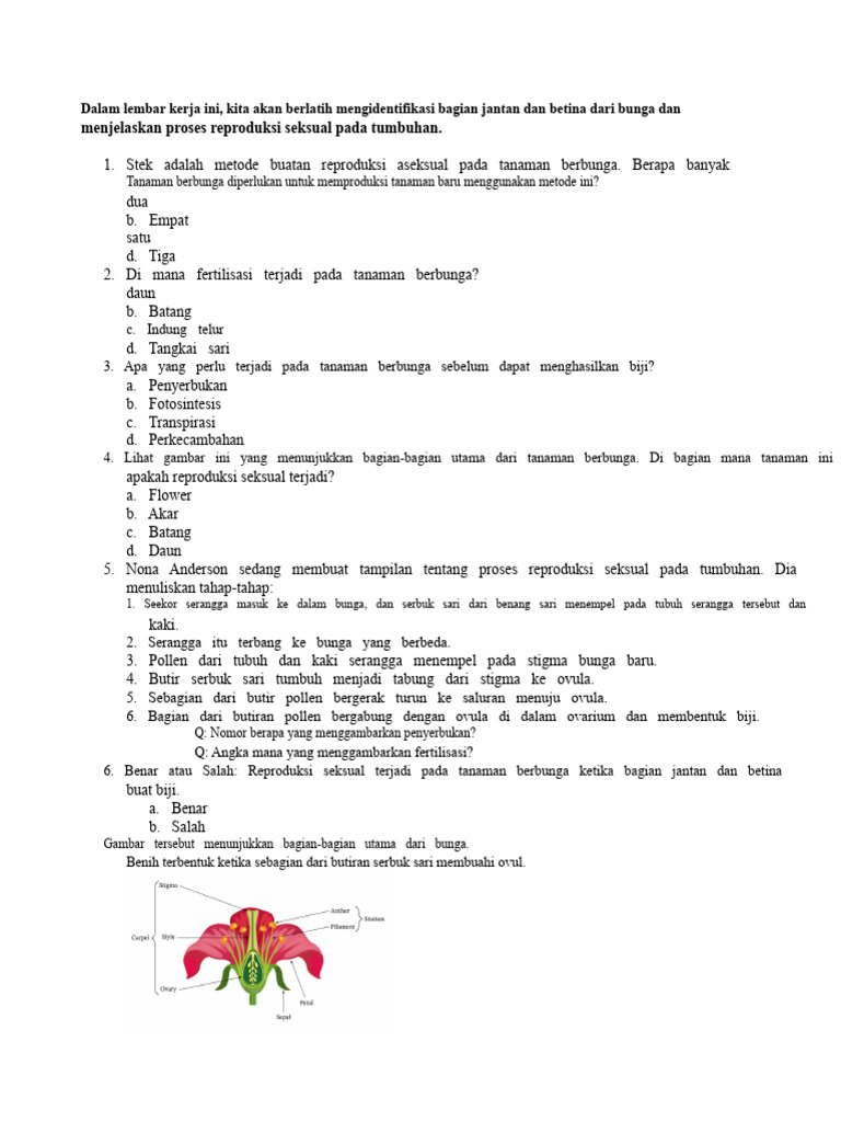 Reproduksi Seksual Pada Tumbuhan | PDF