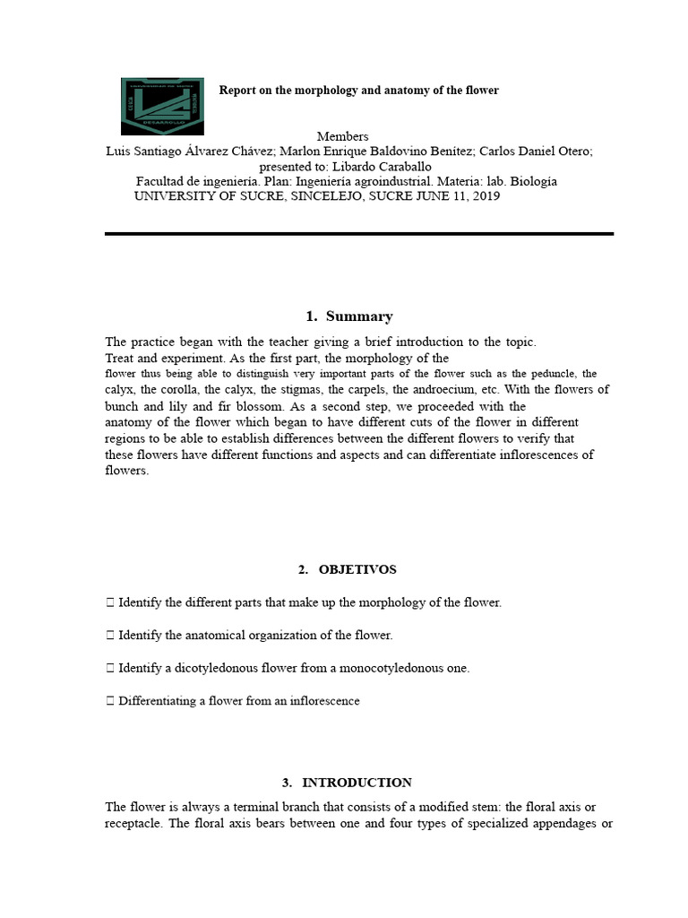 Report On The Morphology and Anatomy of The Flower | PDF | Flowers | Petal