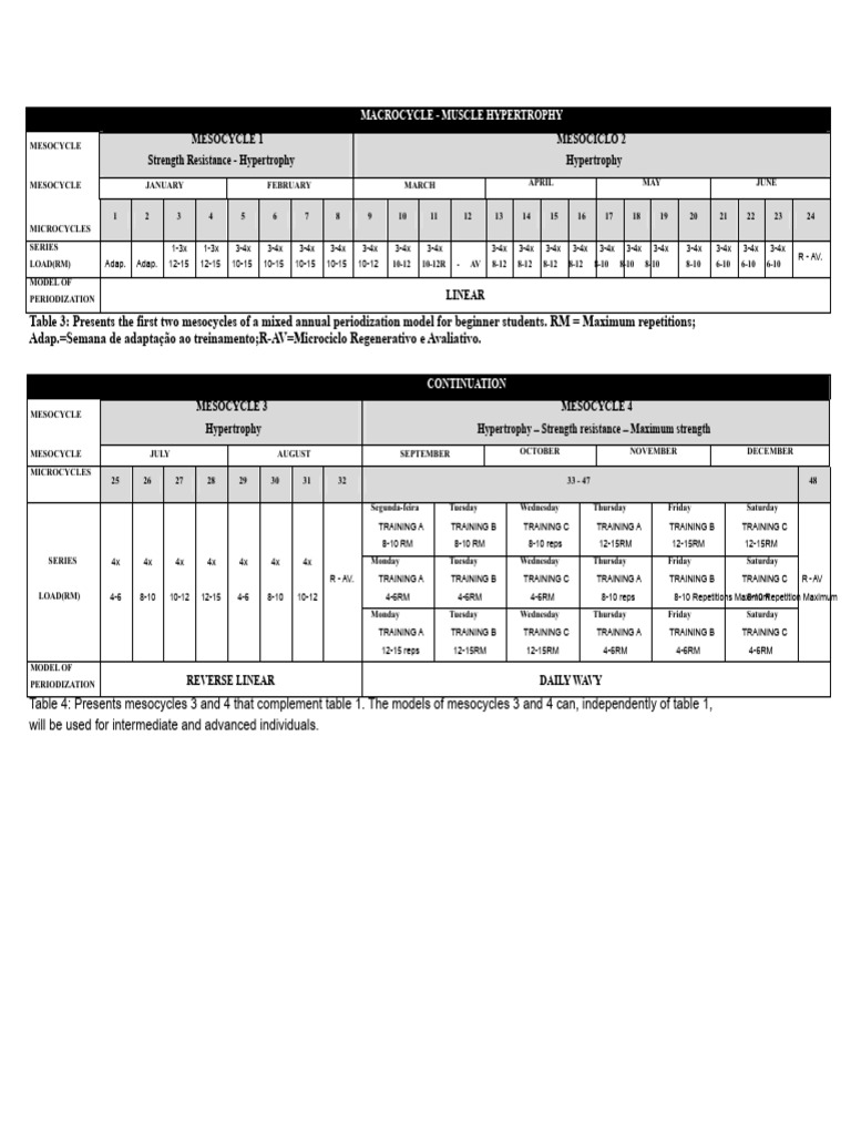 Mesocycle Model | PDF | Muscle Hypertrophy | Strength Training