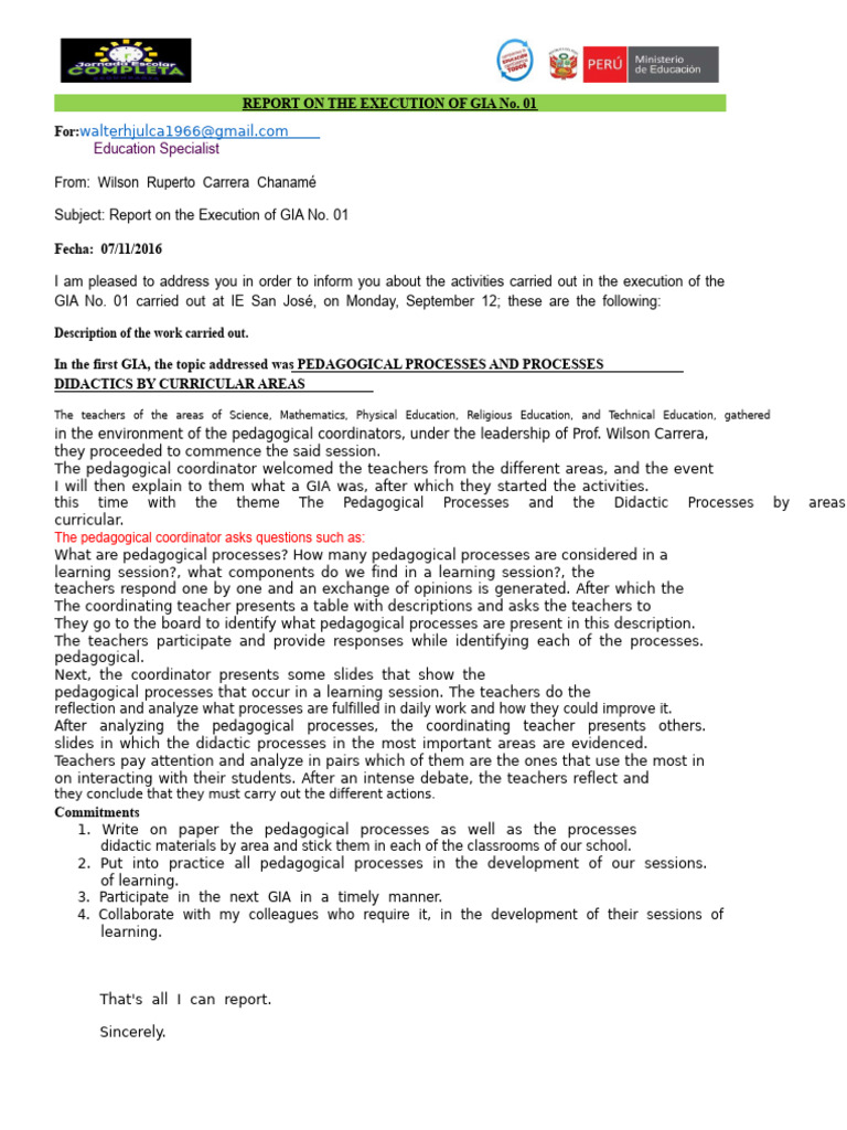 Report Gia | PDF | Pedagogy | Teachers