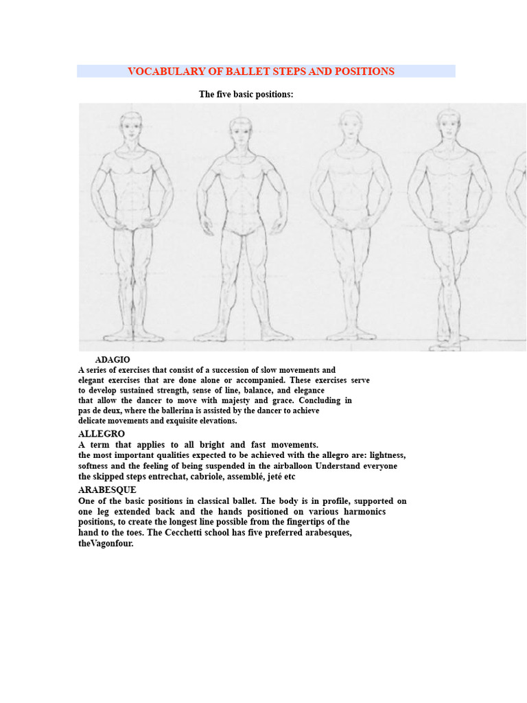 Vocabulary of Ballet Steps and Positions | PDF | Musculoskeletal System ...
