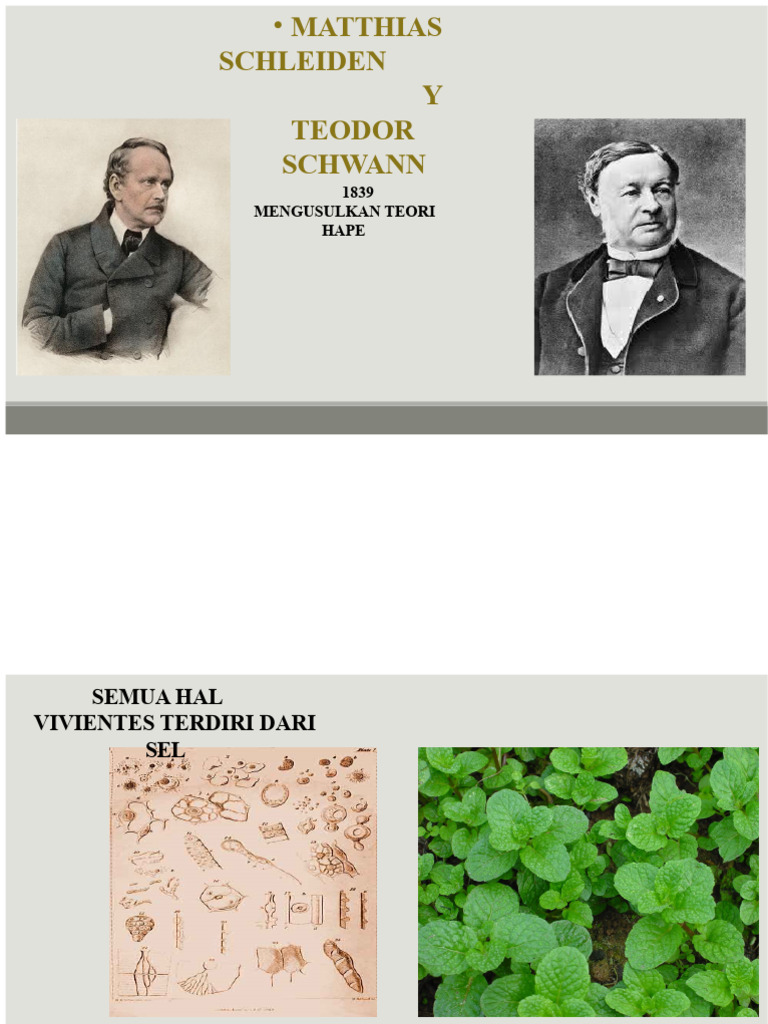 Matthias Schleiden Dan Theodor Schwann | PDF