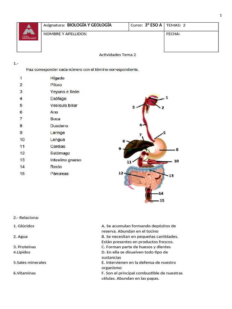 Actividades Tema 2 | PDF