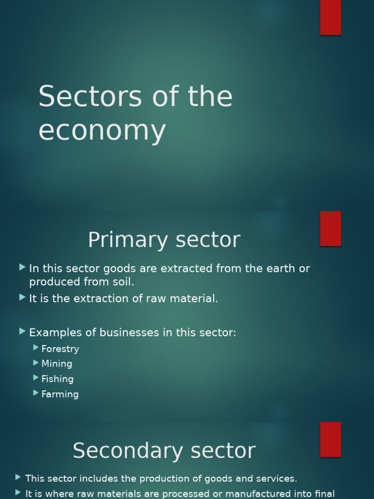 Sectors of The Economy | PDF