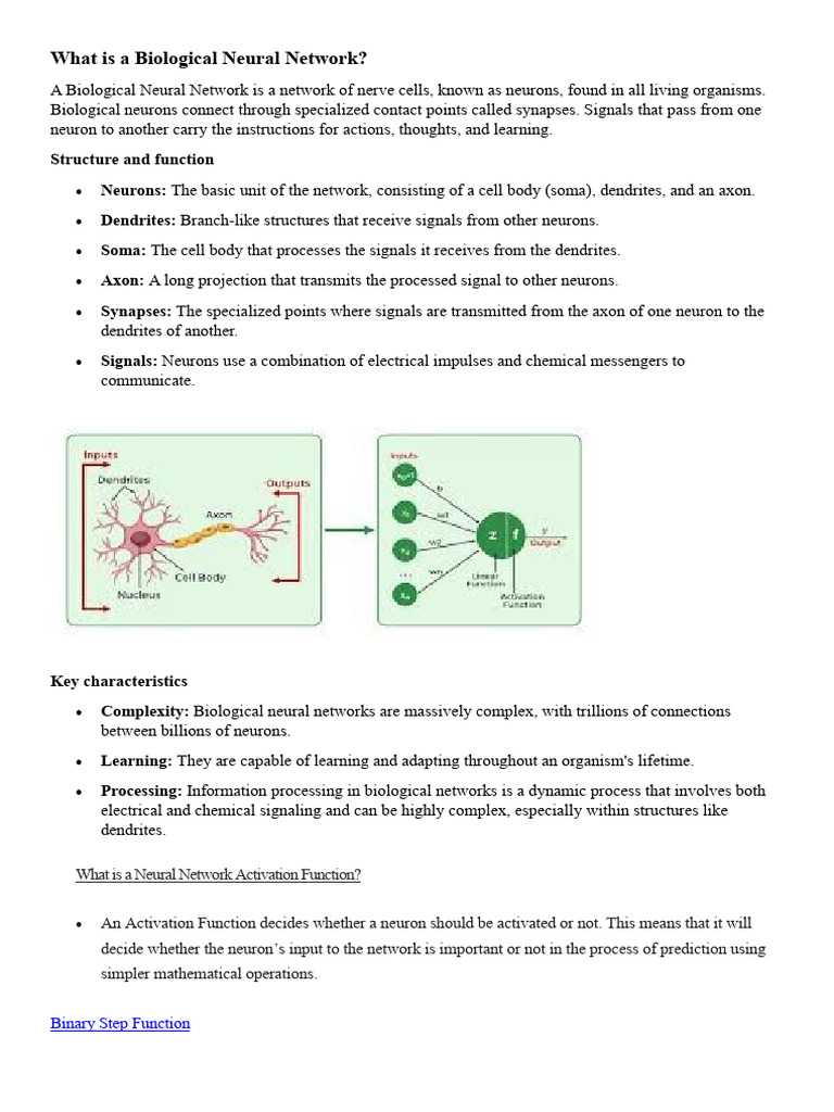 Unit 3 | PDF | Neuron | Deep Learning
