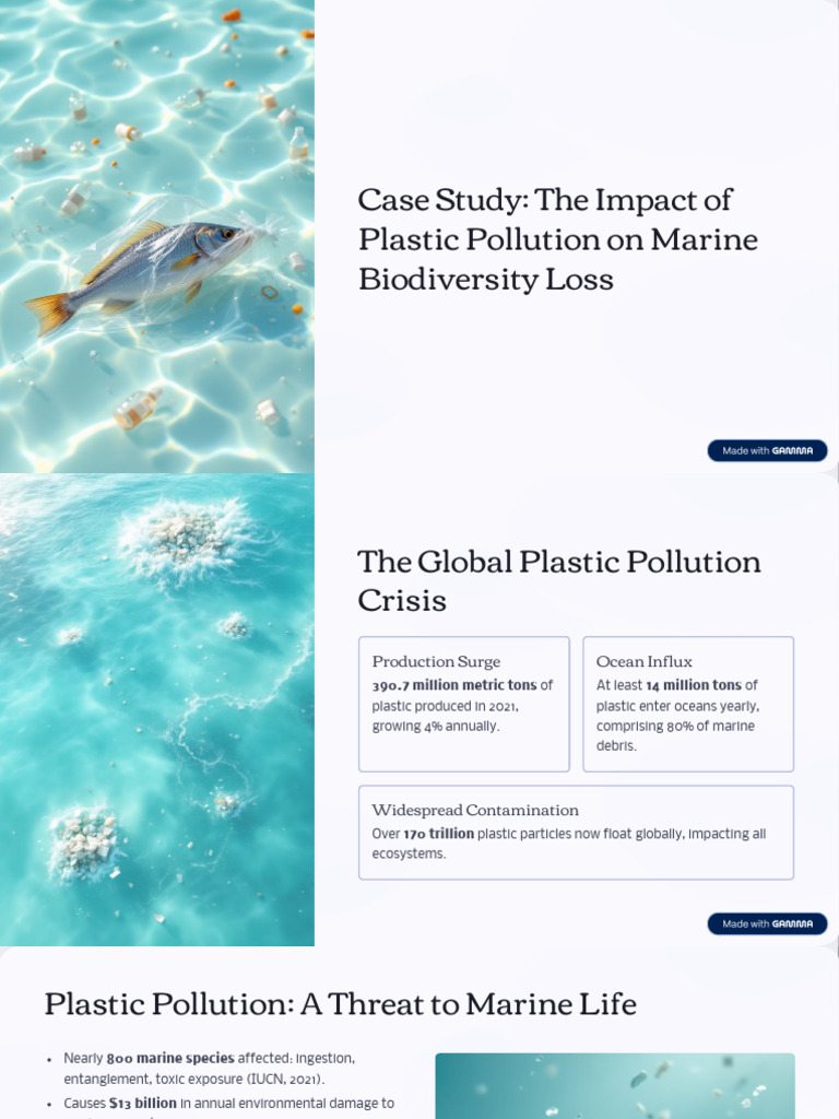Plastic Pollution's Impact on Marine Life | PDF | Pollution | Plastic