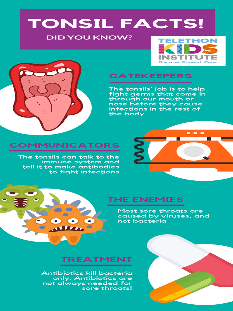 2 Poster Tonsil Facts Final | PDF