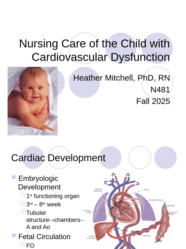 481 Cardiac - Fall 2025 - Student | PDF | Heart Failure ...