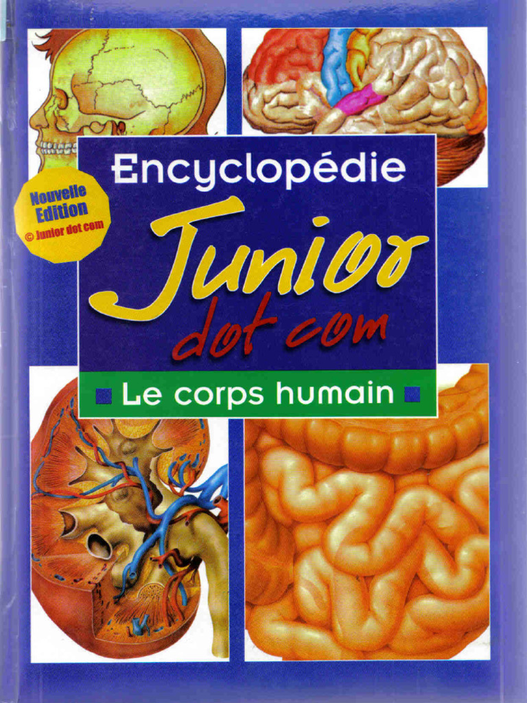 Systèmes du corps humain expliqués | PDF