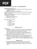 Anatomia Swini Atlas Interaktywny | PDF