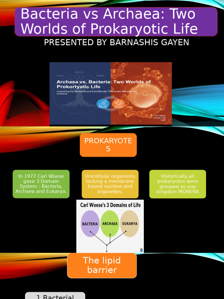 Bacteria vs Archaea: Key Differences Explained | PDF | Archaea | Bacteria