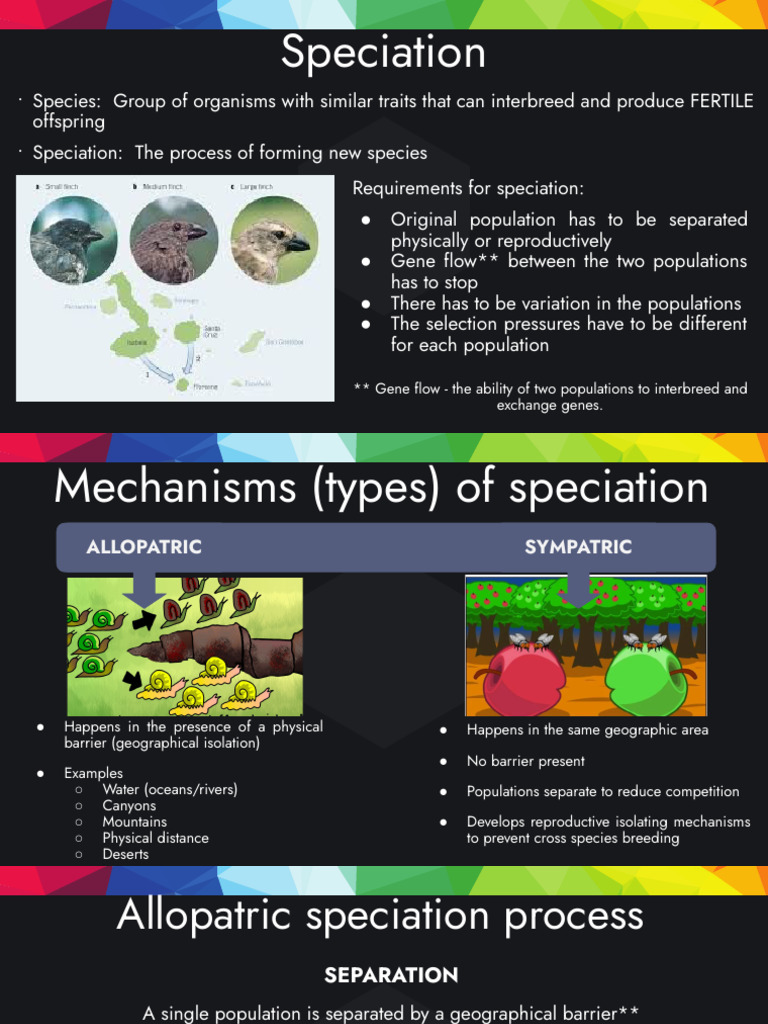Speciation Website Slides | PDF | Species | Hybrid (Biology)