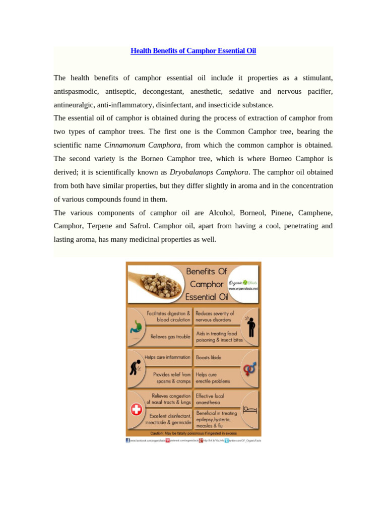 Camphor Essential Oil ING | PDF