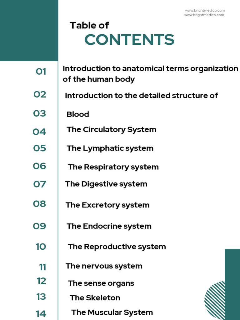1st Year Anatomy & Physiology GNM Notes | PDF | Anatomical Terms Of ...