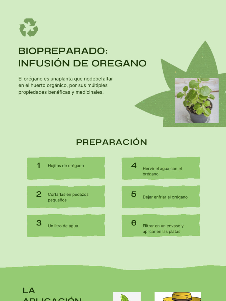 Presentación Medio Ambiente Moderno Verde_20251109_084427_0000.pdf ...