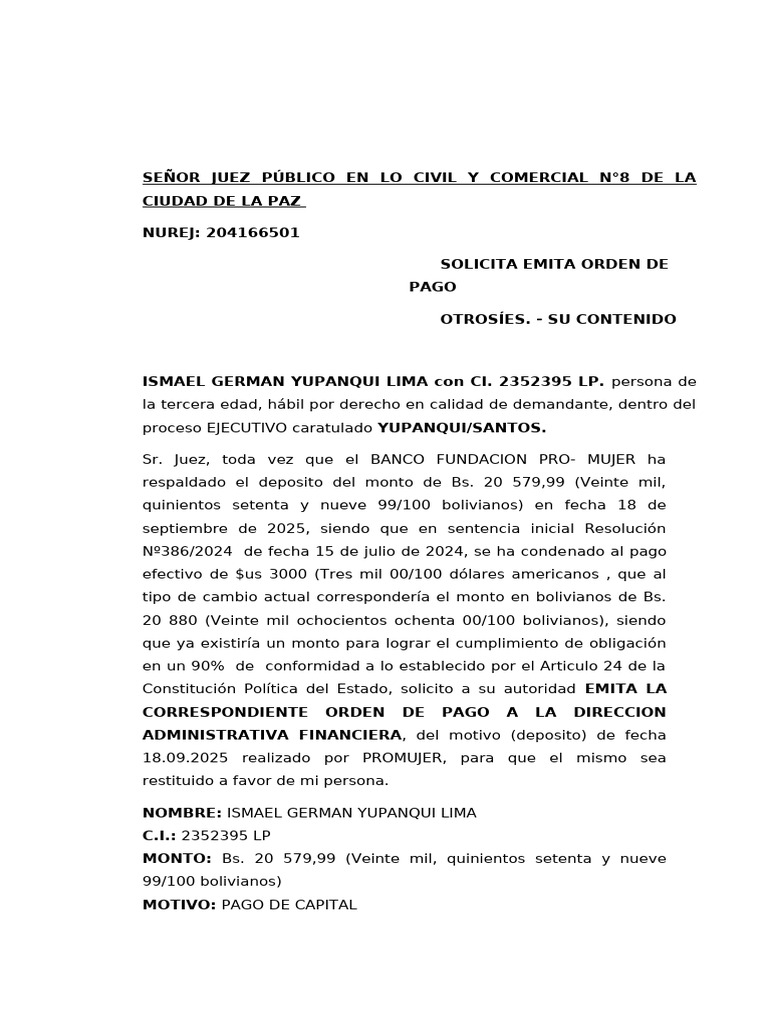 Solicitud de Orden de Pago en Proceso Civil | PDF