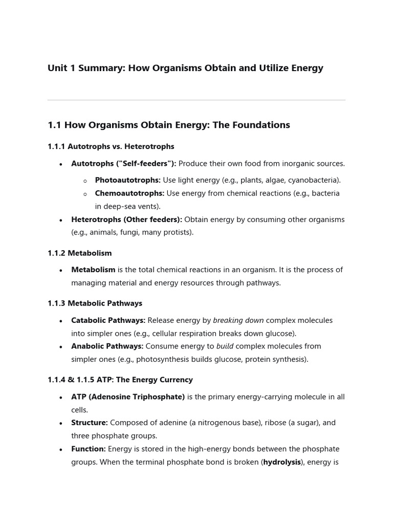 11ADV Unit 1 Summary | PDF | Cellular Respiration | Adenosine Triphosphate