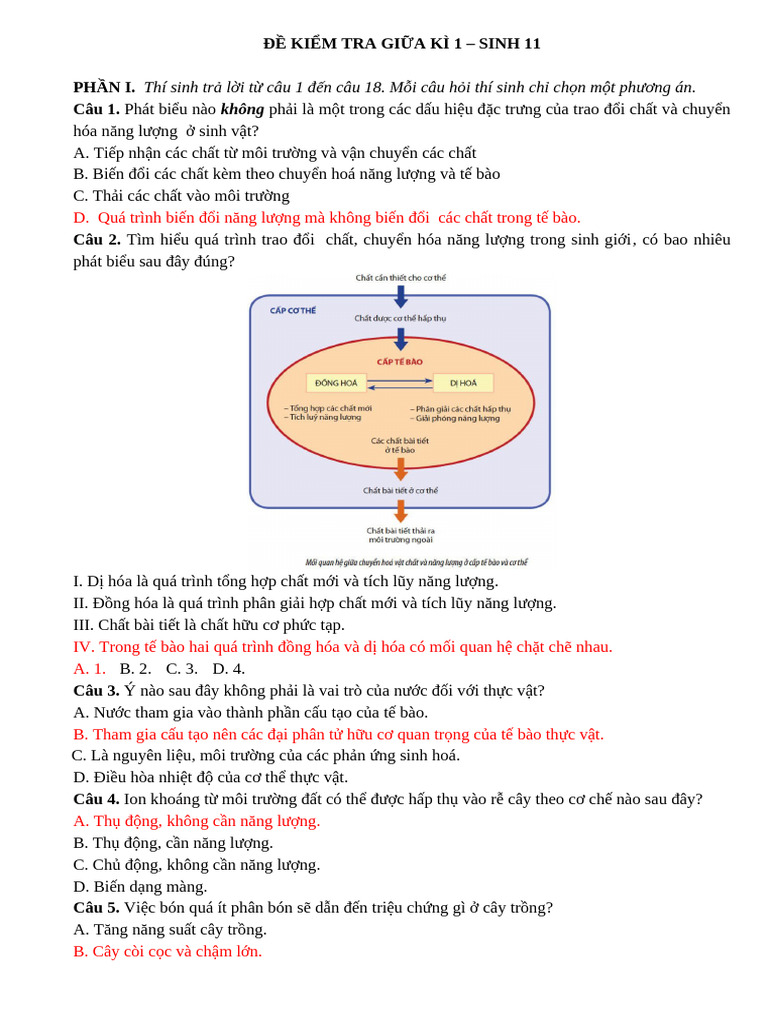 SINH 2. ĐỀ KTGK1 K11 MA 01 | PDF