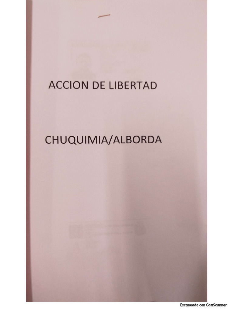 Acción de Libertad Ivania Da Silva | PDF