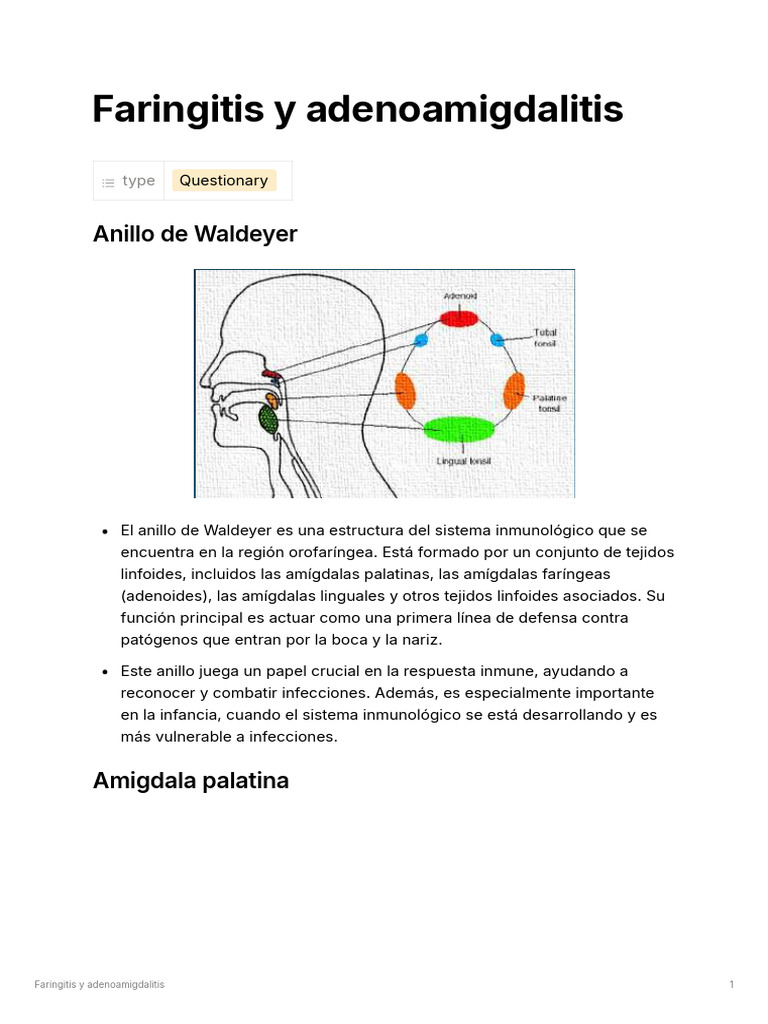 Otorrinolaringologia - Faringitis y Adenoamigdalitis | PDF ...