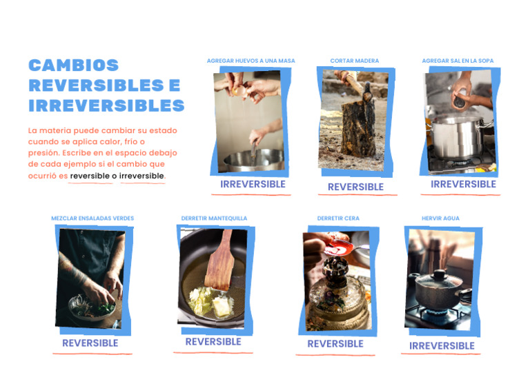Cambios en La Materia Colorido Hoja de Trabajo Digital | PDF