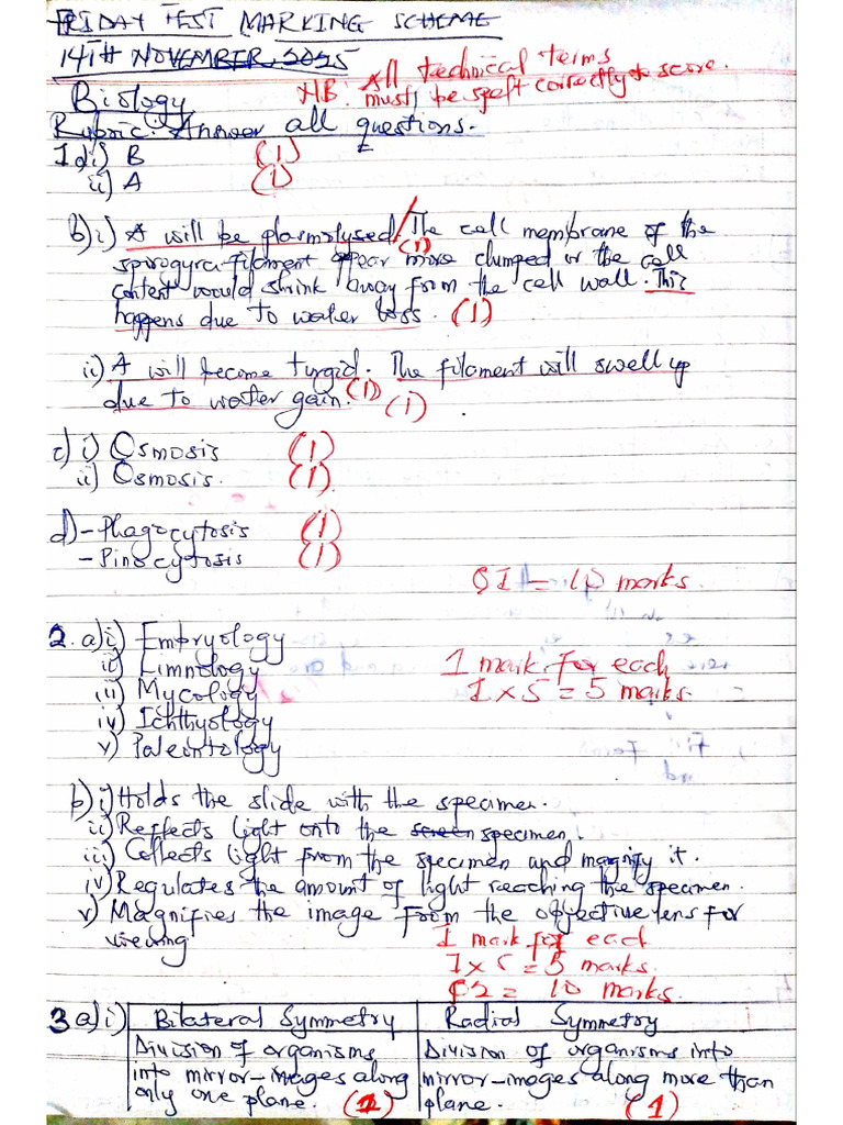 Friday Test Marking Scheme.14!11!25 | PDF