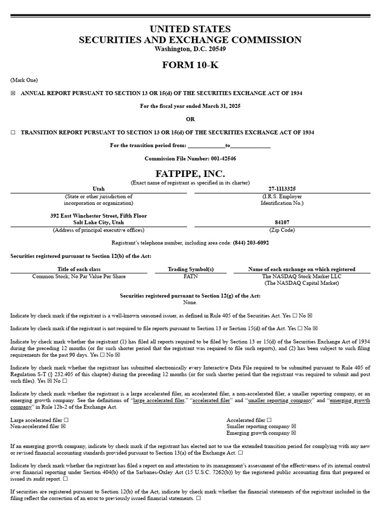 FATN (FatPipe Inc.) Annual Report Pursuant To Section 13 or 15 (D) (10 ...