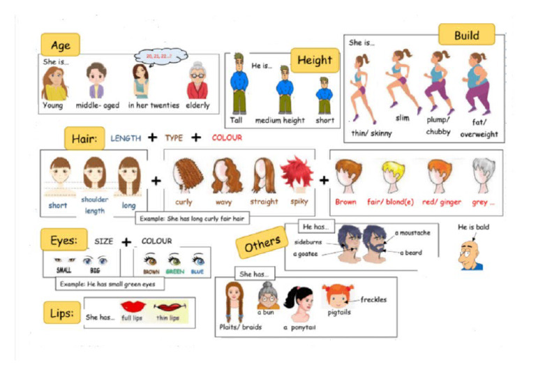 Vocabulary Physical Appearance | PDF