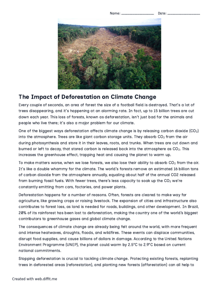 Deforestation's Role in Climate Change | PDF | Deforestation | Climate ...