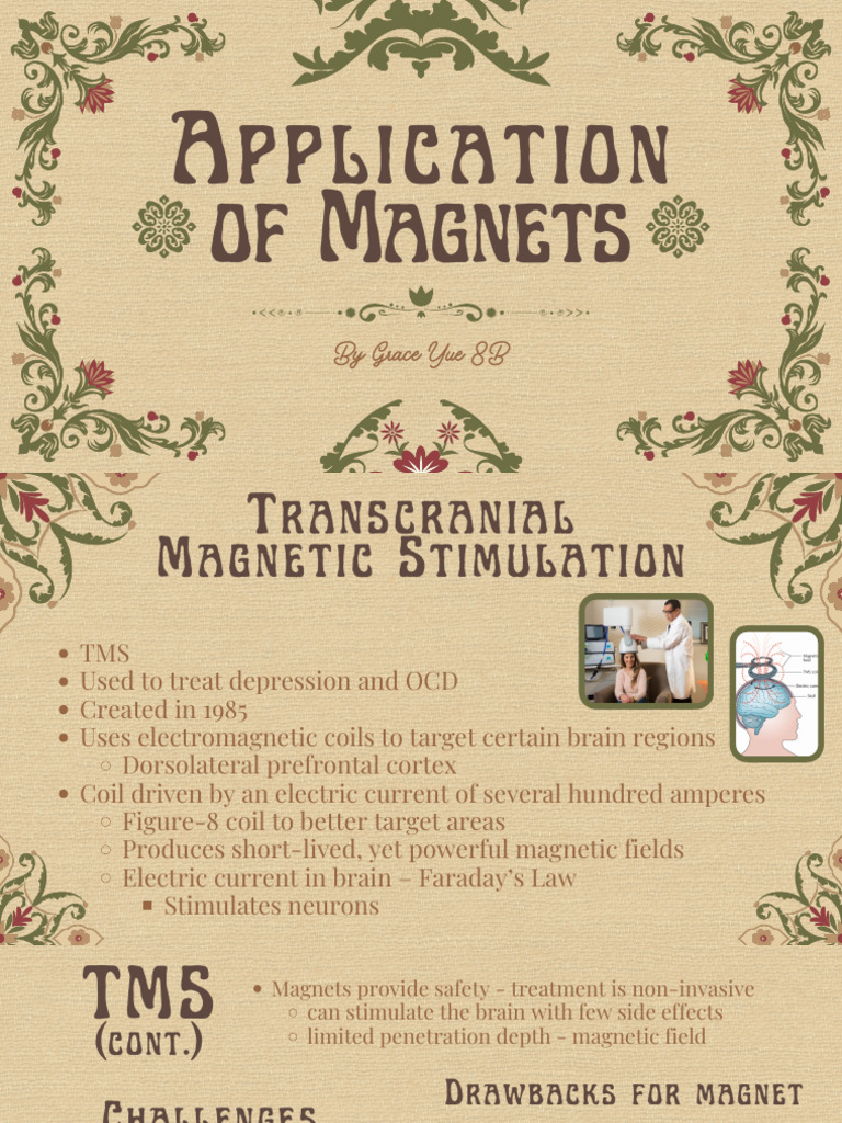 Application of Magnets | PDF | Electromagnetism