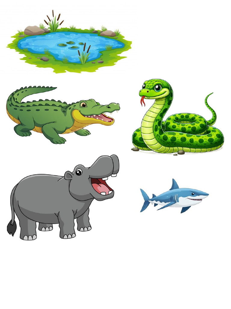 Aquatic Animals Are Organisms That Live in Water and Have Adaptations ...