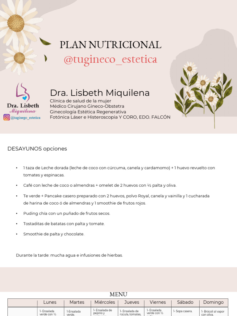 Plan Nutricional Saludable Semanal | PDF | ensalada | Vegetales