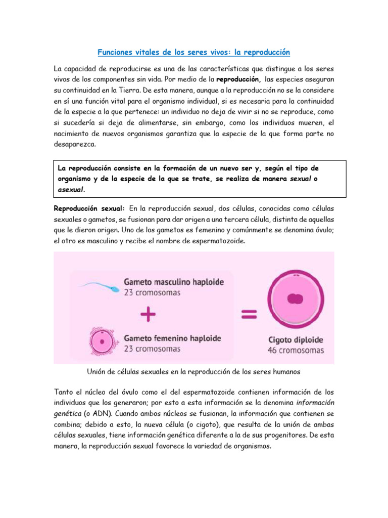 Funciones Vitales de Los Seres Vivos | PDF | Reproducción sexual ...