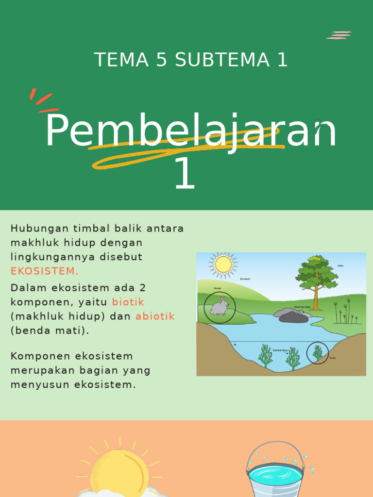 Tema 5 PB 1 | PDF