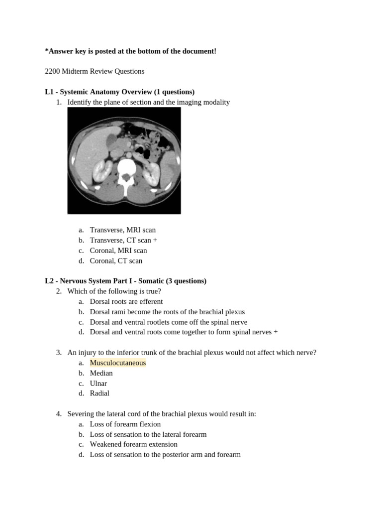 Midterm Review +answers | PDF | Foot | Human Leg