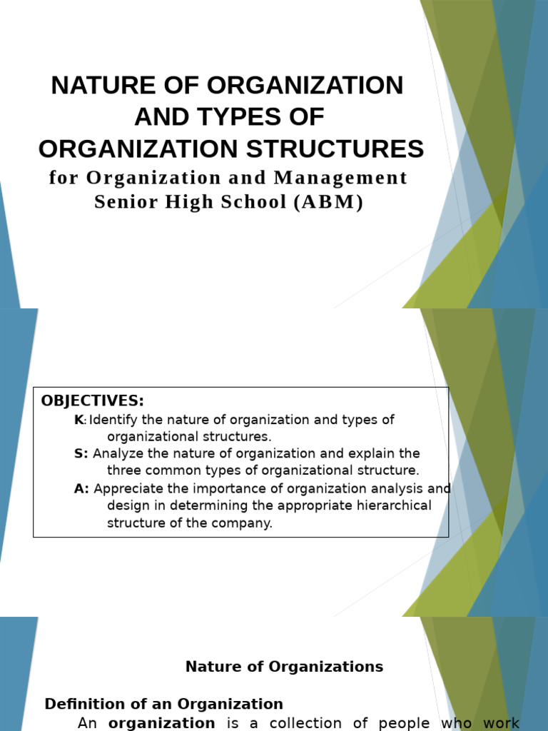 LESSON 3. Nature of Organization | PDF | Sole Proprietorship | Partnership