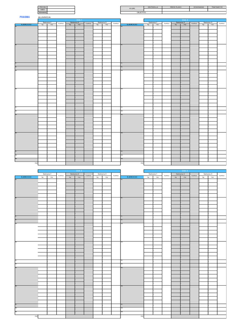 PLANILLA LIBRE - Hojas de cálculo de Google | PDF