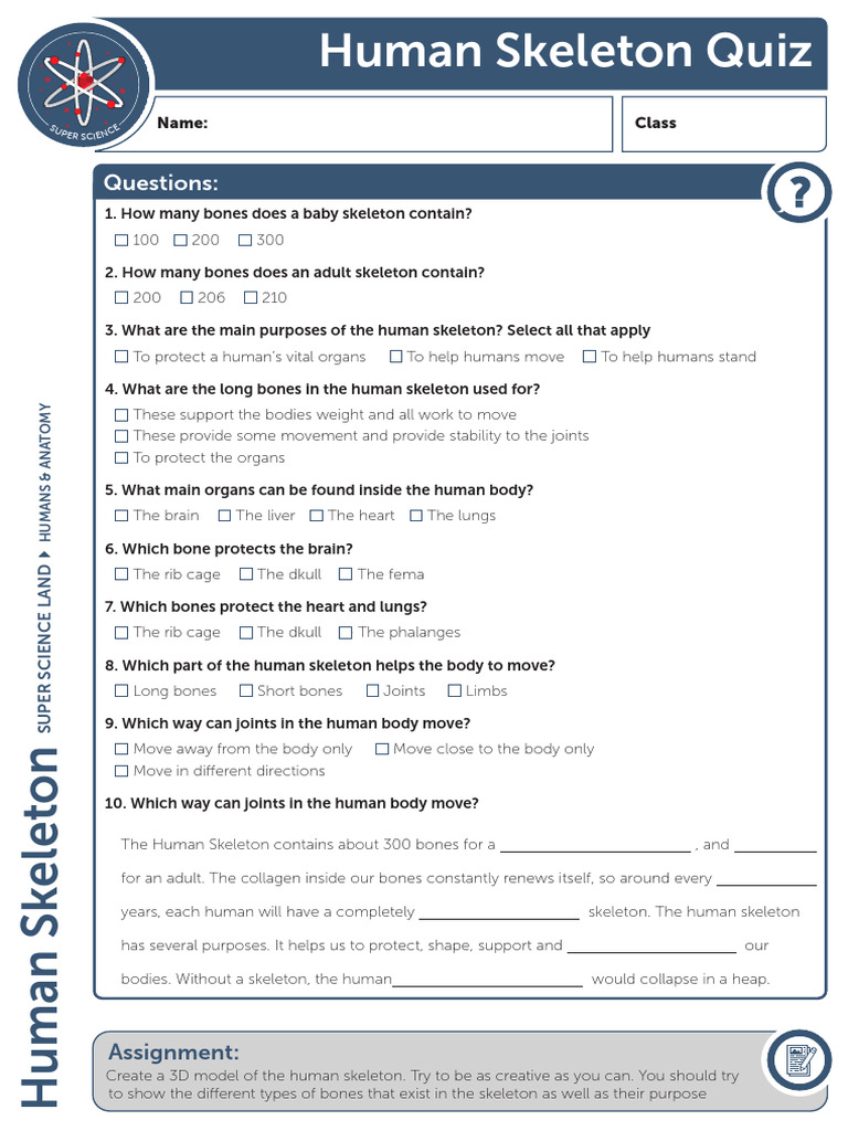 Human Skeleton+Quiz+Only | PDF | Skeleton | Bone