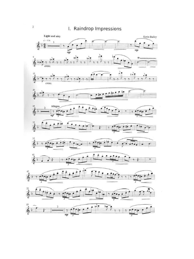 Raindrop Impressions | PDF