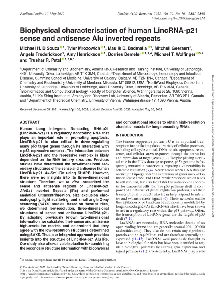 D’Souza Et Al. - 2022 - Biophysical Characterisation of Human LincRNA ...