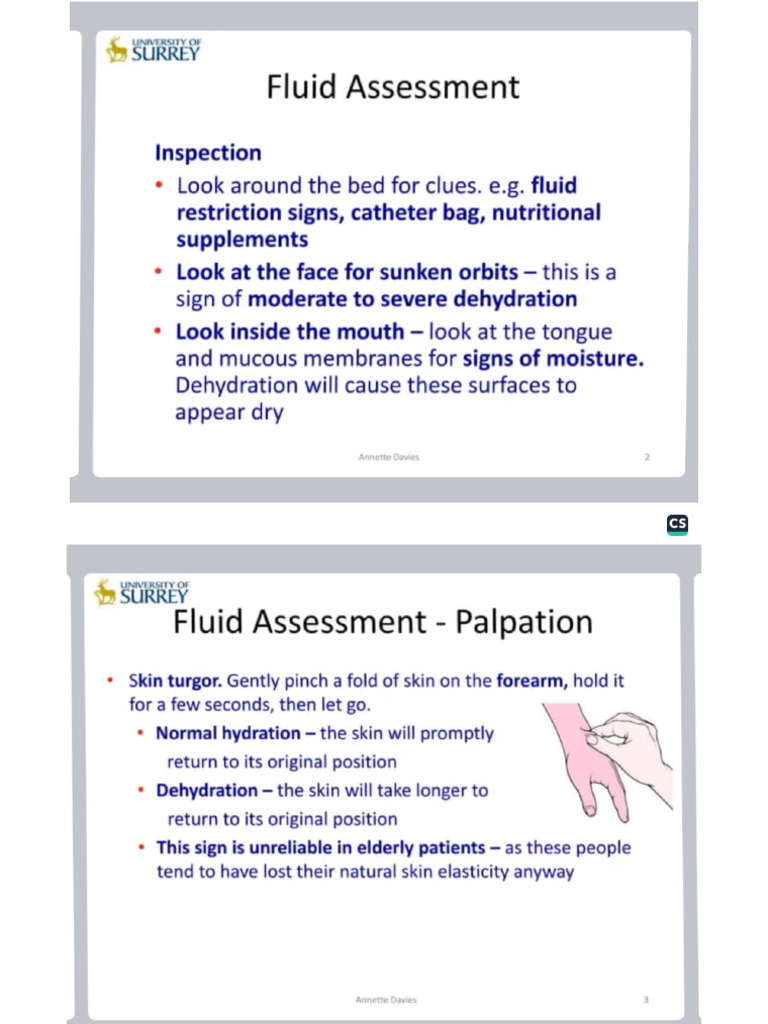 Volume Assessment | PDF