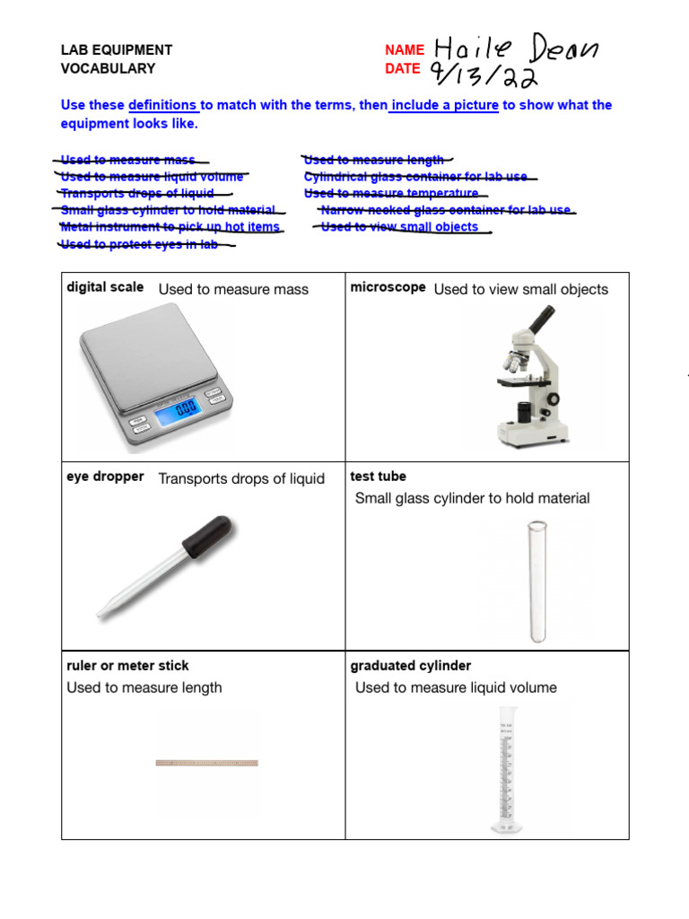 Essential Lab Equipment Vocabulary Guide | PDF