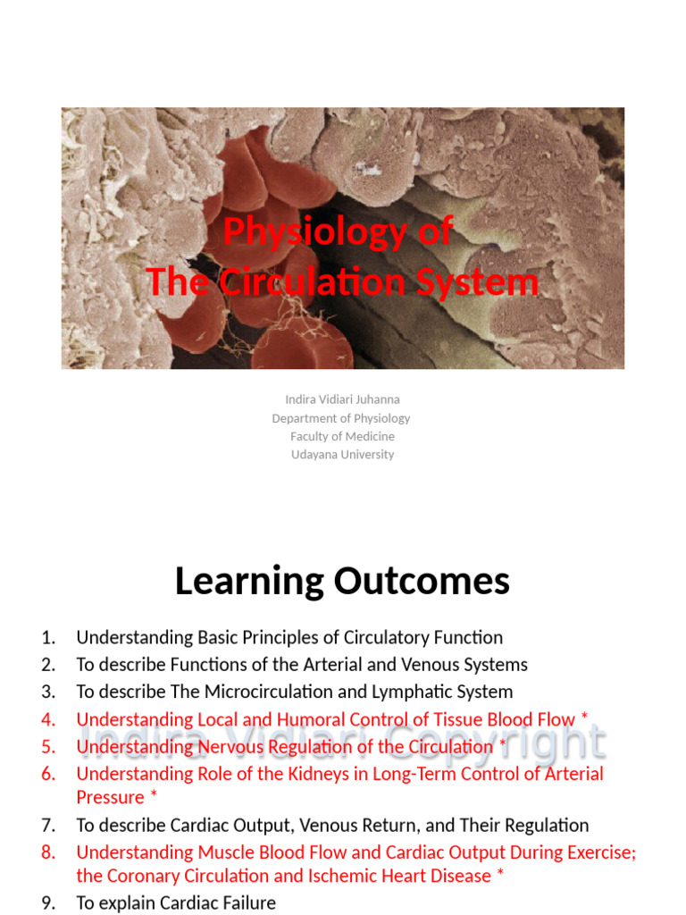 Circulatory System Physiology Overview | PDF | Circulatory System ...