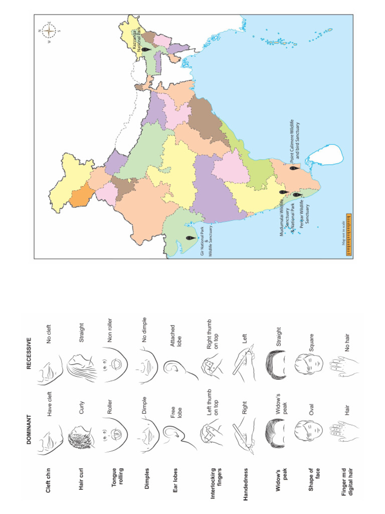 12 Biozoo em Practical Image | PDF