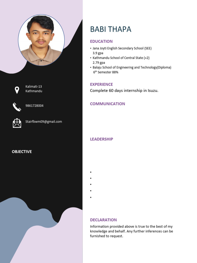 Babi CV | PDF